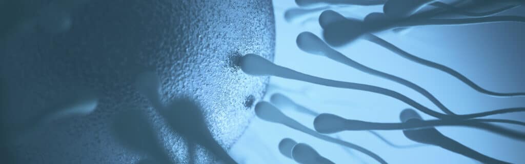 Clínicas de Reproducción asistida Murcia - IMAR Oficial