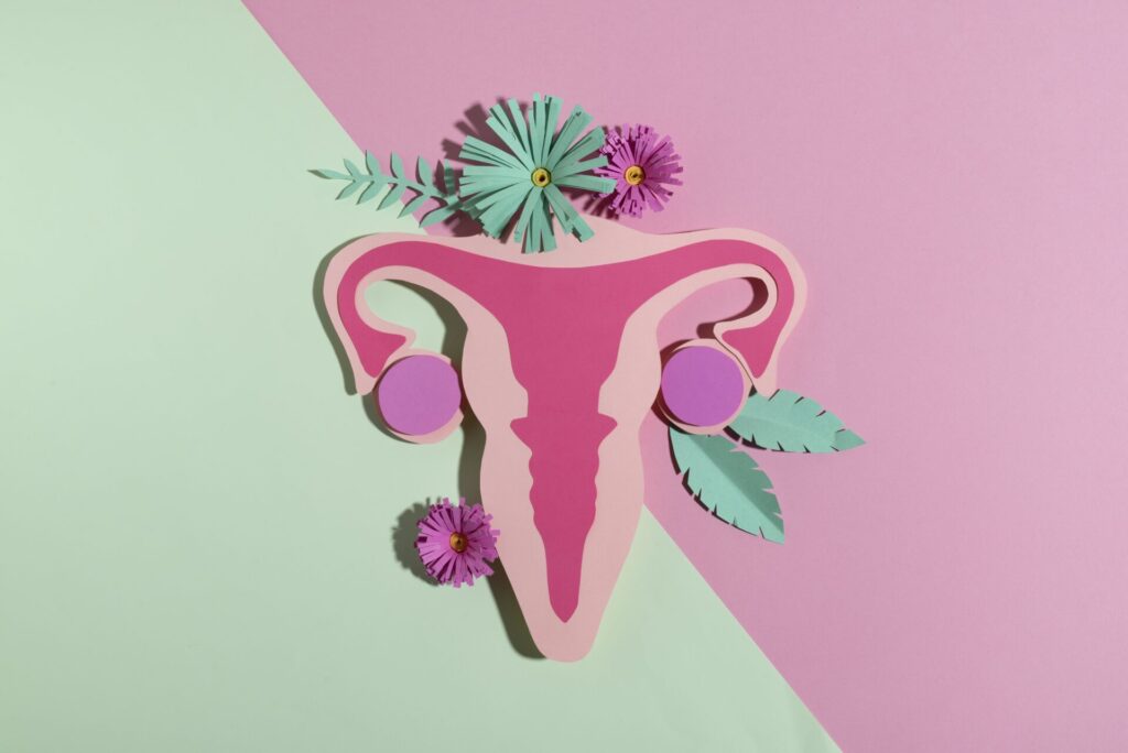 Óvulos vaginales: ¿Cuándo son necesarios? • Clinica Imar - Reproducción ...