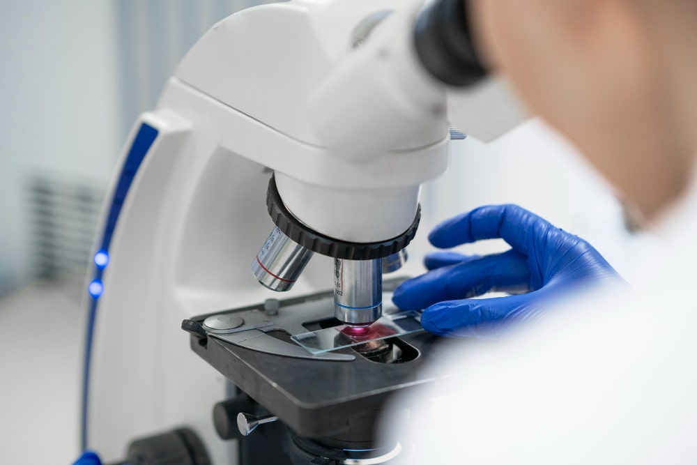 Biopsia corial: ¿Qué es y cuándo esta indicada? • Clinica Imar ...