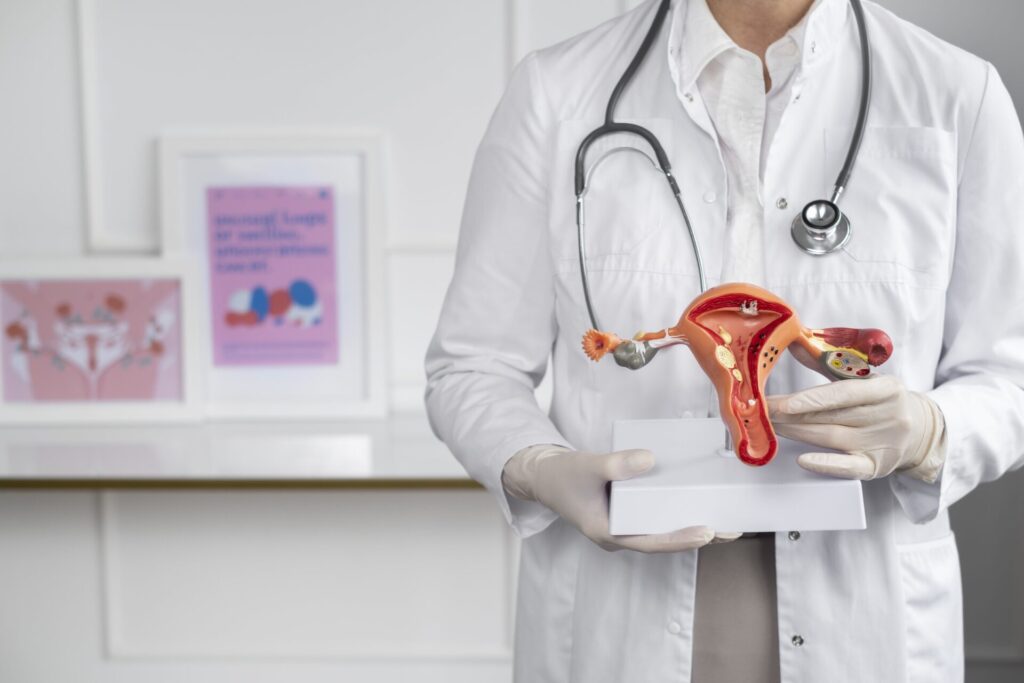 Testosterona en mujeres: Importancia, niveles y efectos • Clinica Imar ...